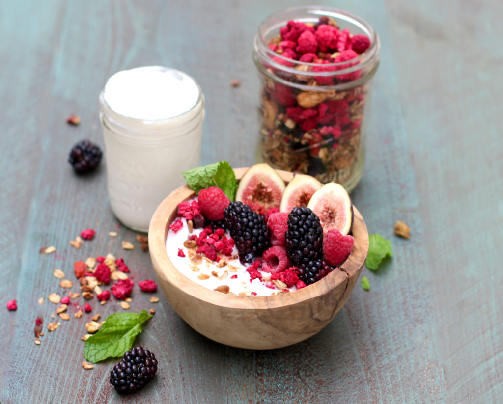 Go with Your Gut Coconut Yogurt | Elise Museles